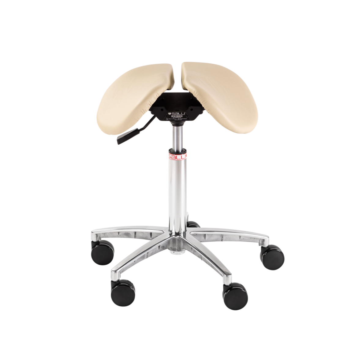 Salli Brasil - Transformando vidas através da postura saudável