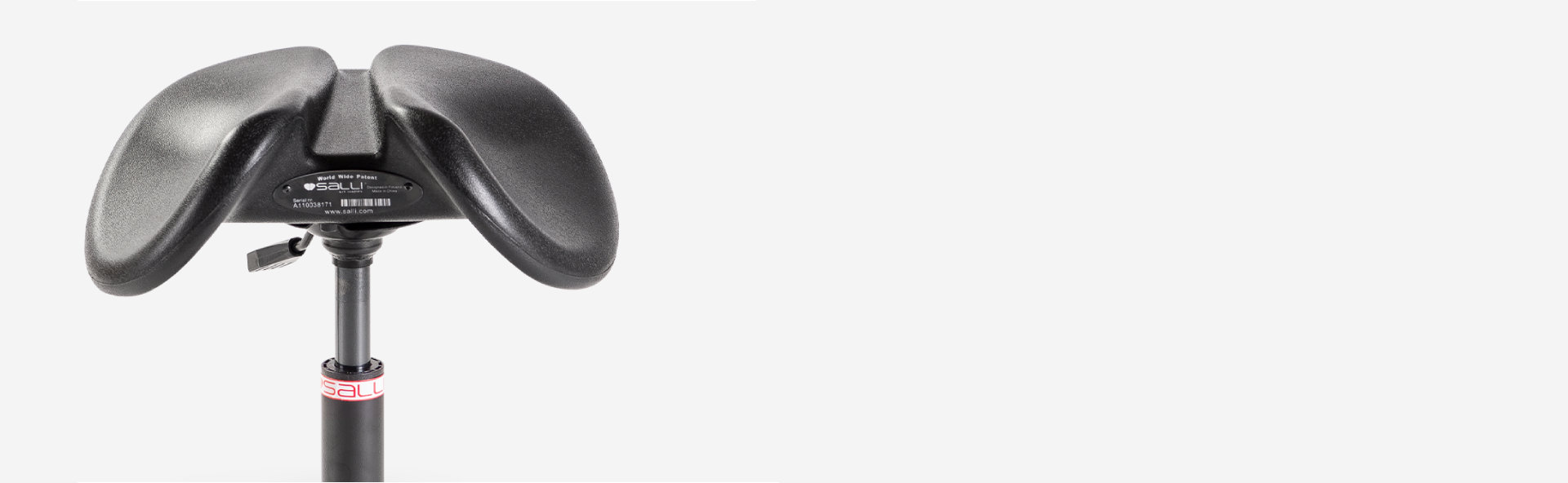 Salli Brasil - Transformando vidas através da postura saudável