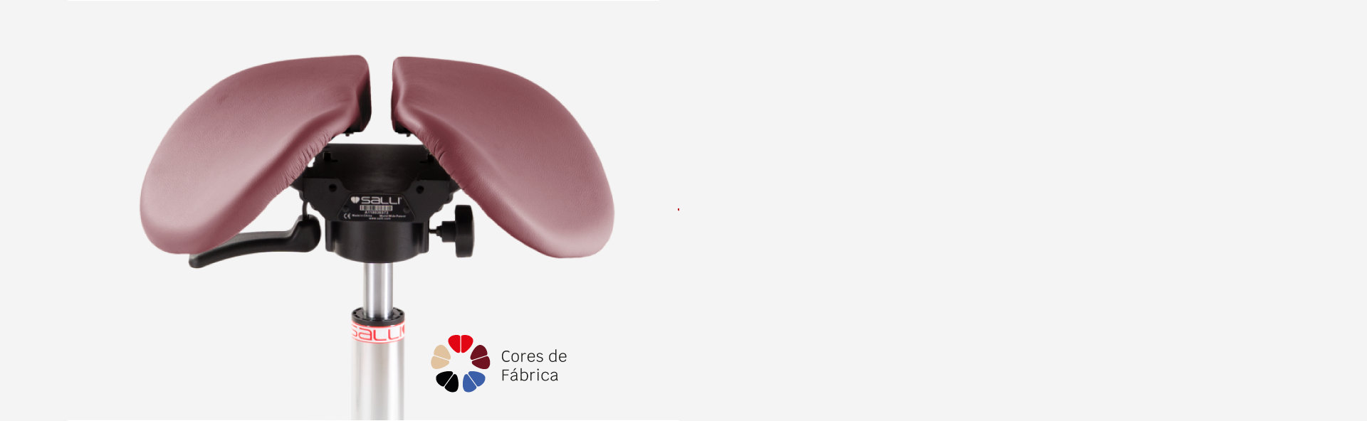 Salli Brasil - Transformando vidas através da postura saudável